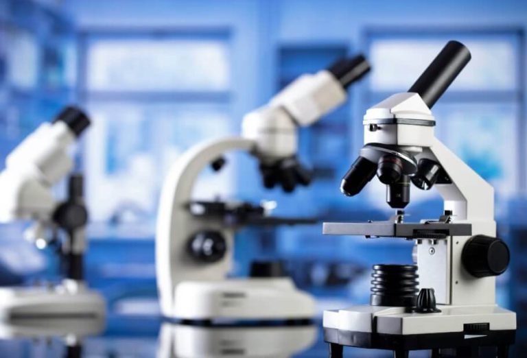 The Role of Advanced Science Equipment in Modern Research and ...